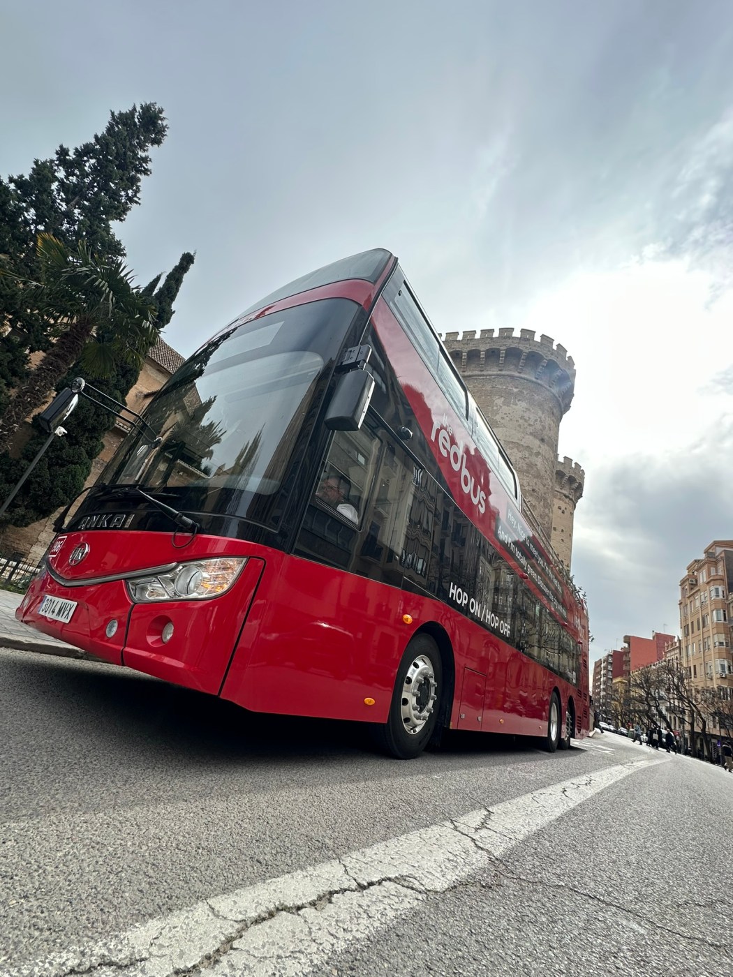 The Red Bus • 24 horas | The Red Bus